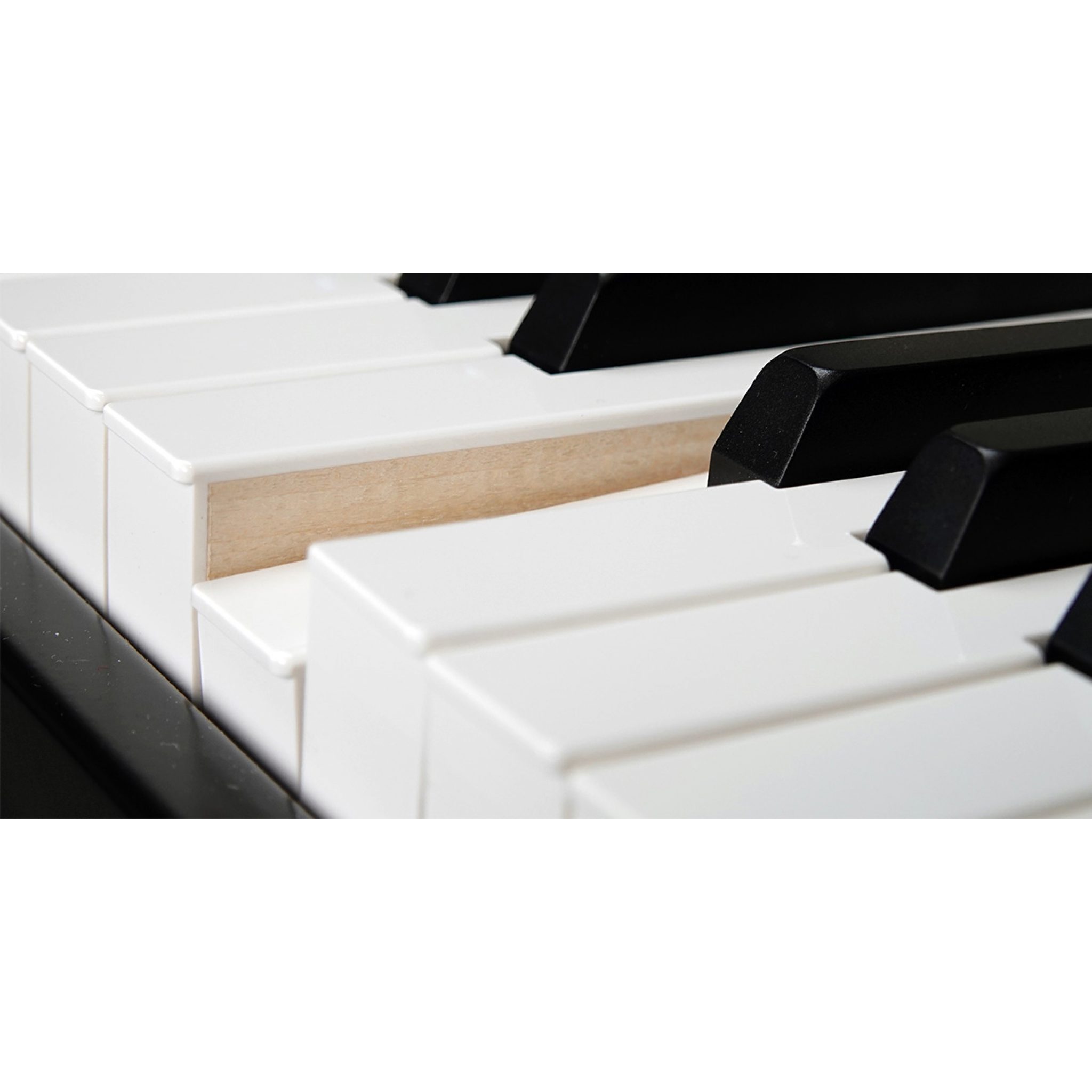 Viscount Legend 70's Artist 88 Key - Wooden - AWAVE